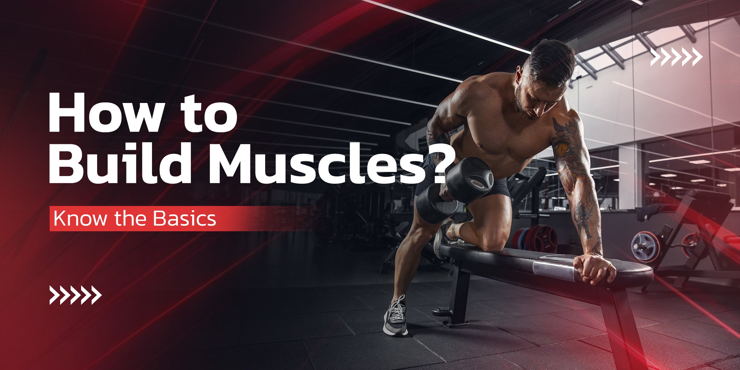 How to Build Muscles? Know the Basics – FB NUTRITION